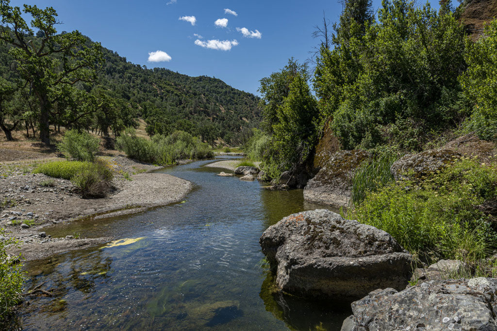 Henry Coe State Park – California State Parks & Recreation Online Store